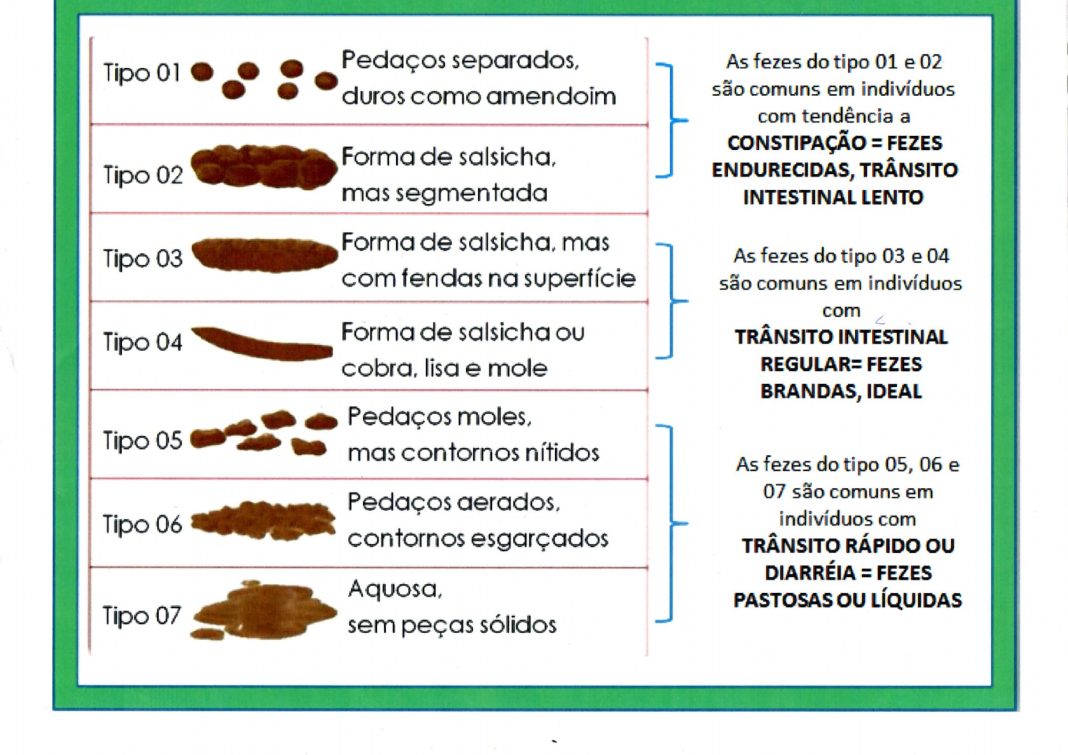 Você sabe como deve ser o cocô ideal das crianças?